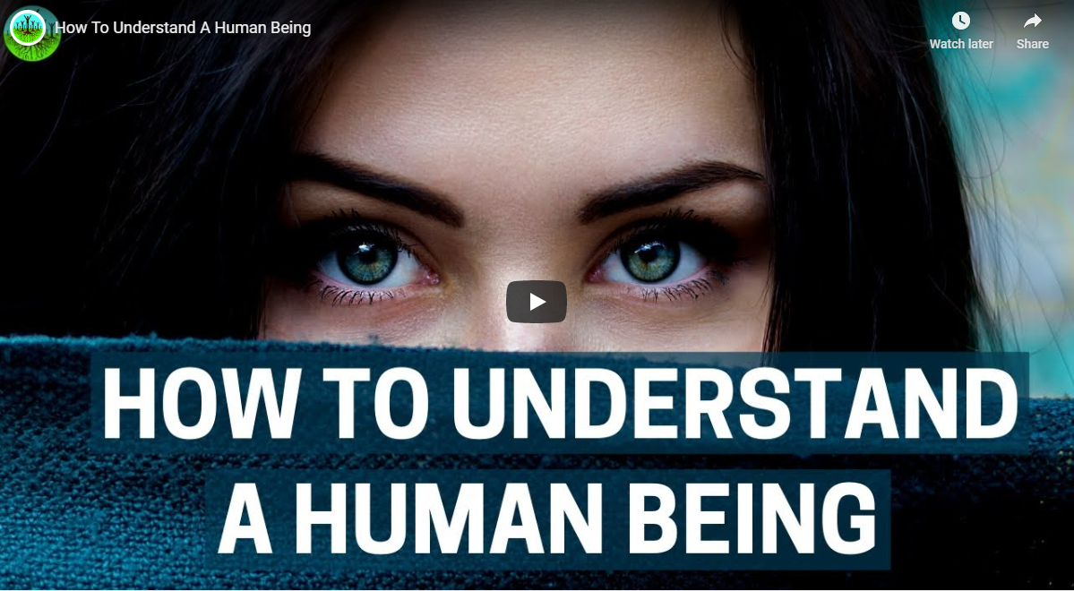 How To Understand A Human Being | Sustainable Human - TOWARDS LIFE ...